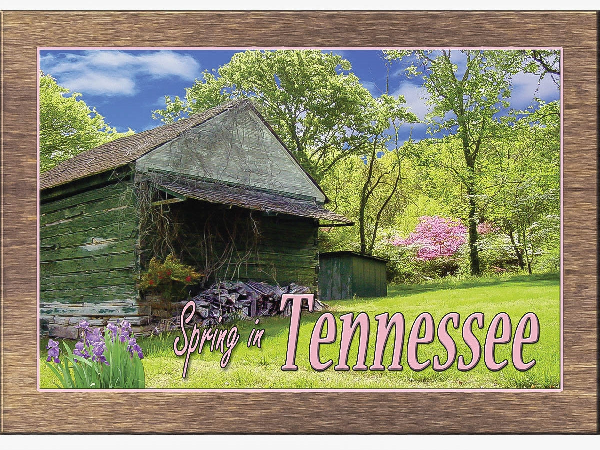 State of Tennessee Postcards | Nashville Postcards - NashvilleSouvenirs.com